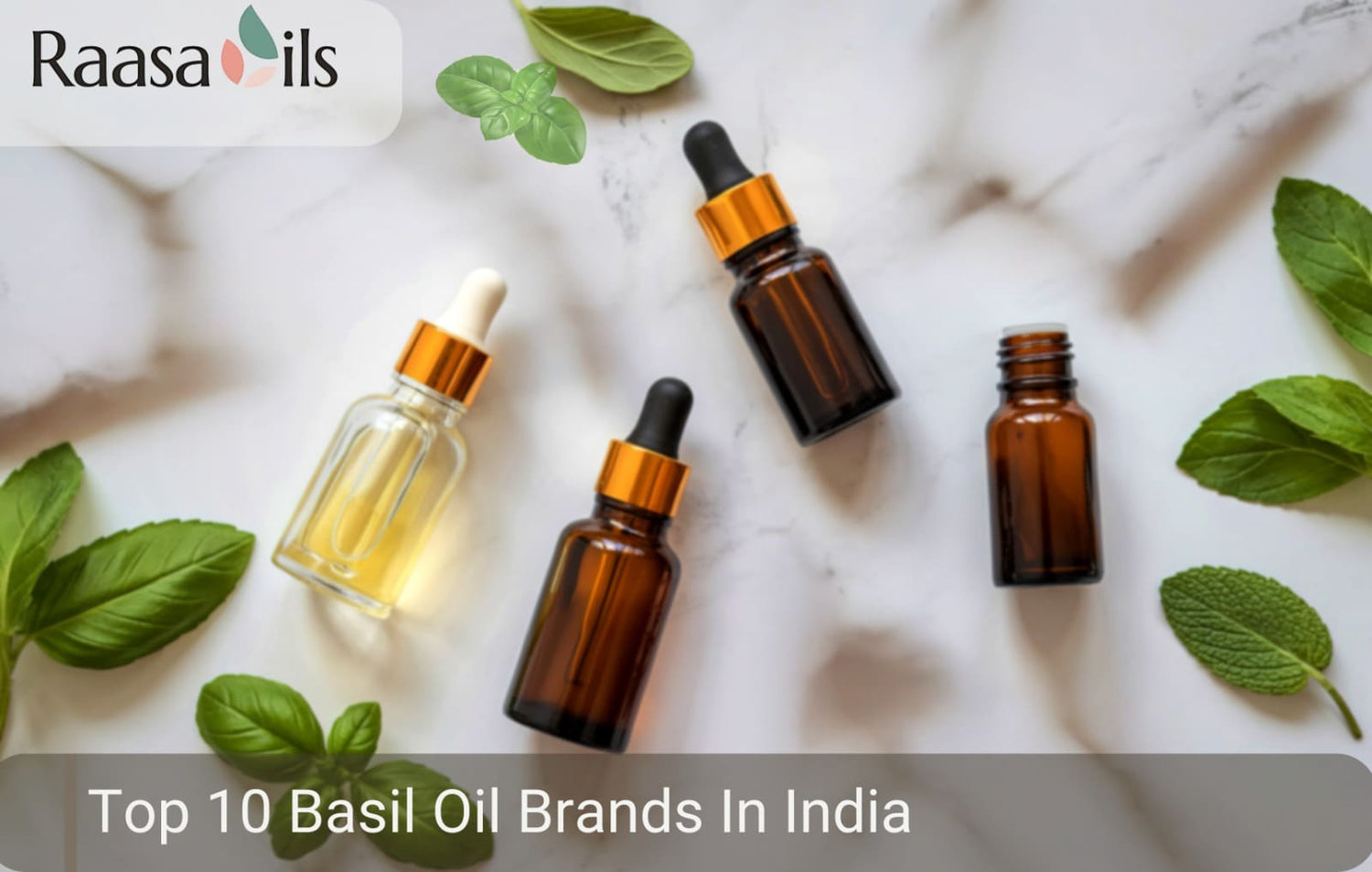 10 Best Basil Oil Brands in India: Top Quality Essential Oils – Raasa ...